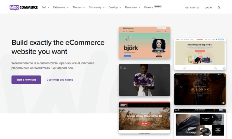 What Is WooCommerce? Its Benefits, and How to Get It in 2024
