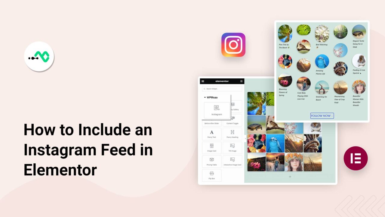 How to Add Instagram Feed to Elementor - Step-by-Step Guide